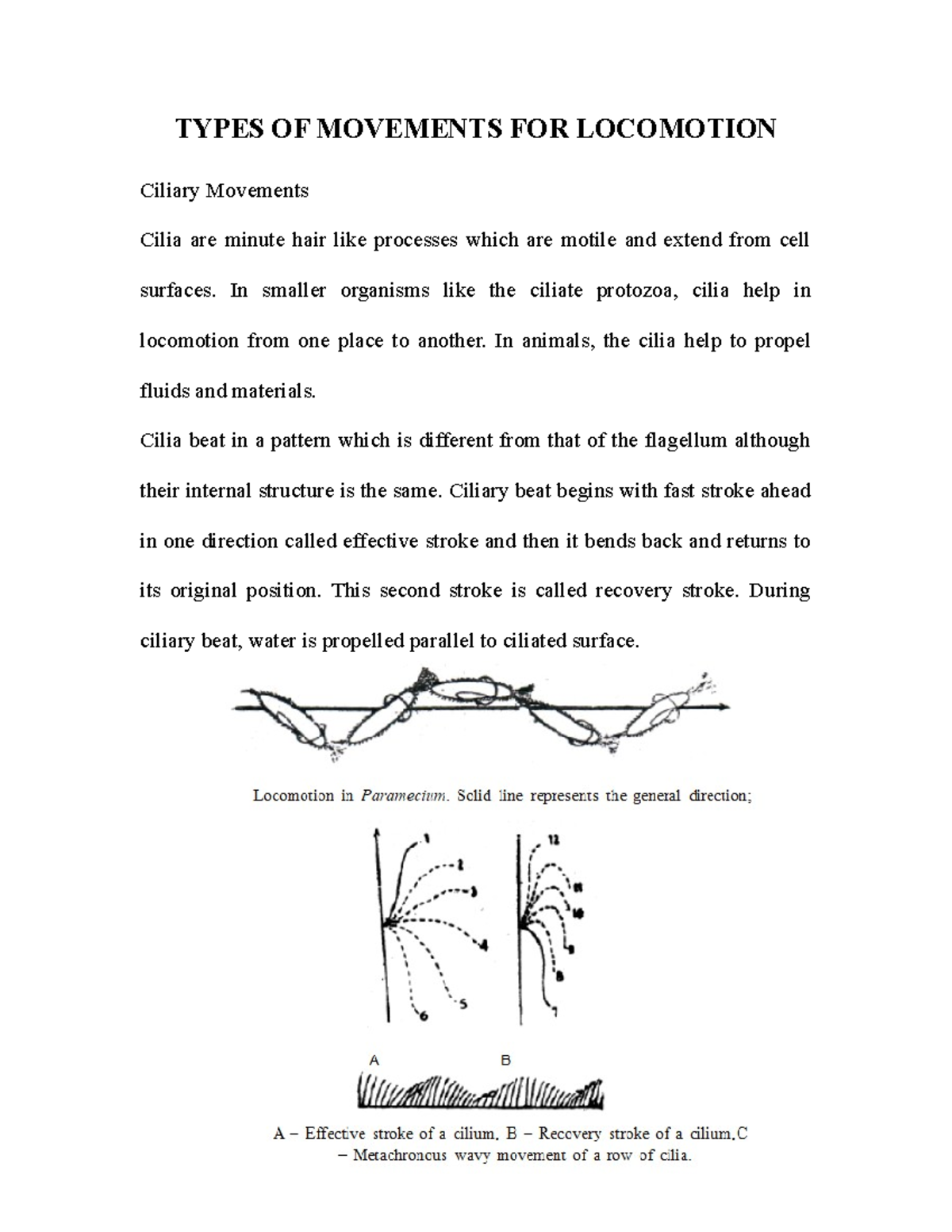 TYPES OF MOVEMENTS FOR LOCOMOTION - TYPES OF MOVEMENTS FOR LOCOMOTION ...