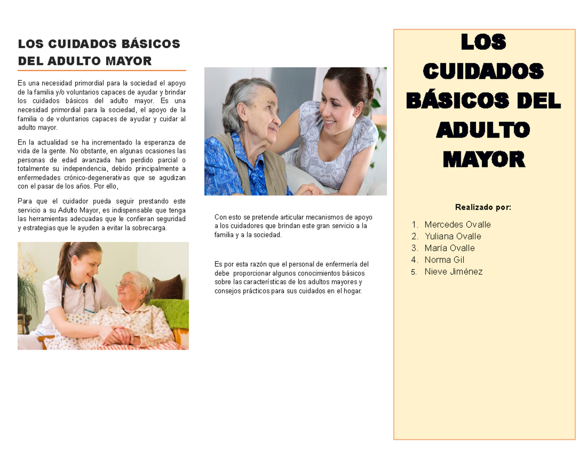 Los cuidados básicos del Adulto Mayor.docx 2 - LOS CUIDADOS BÁSICOS DEL ...