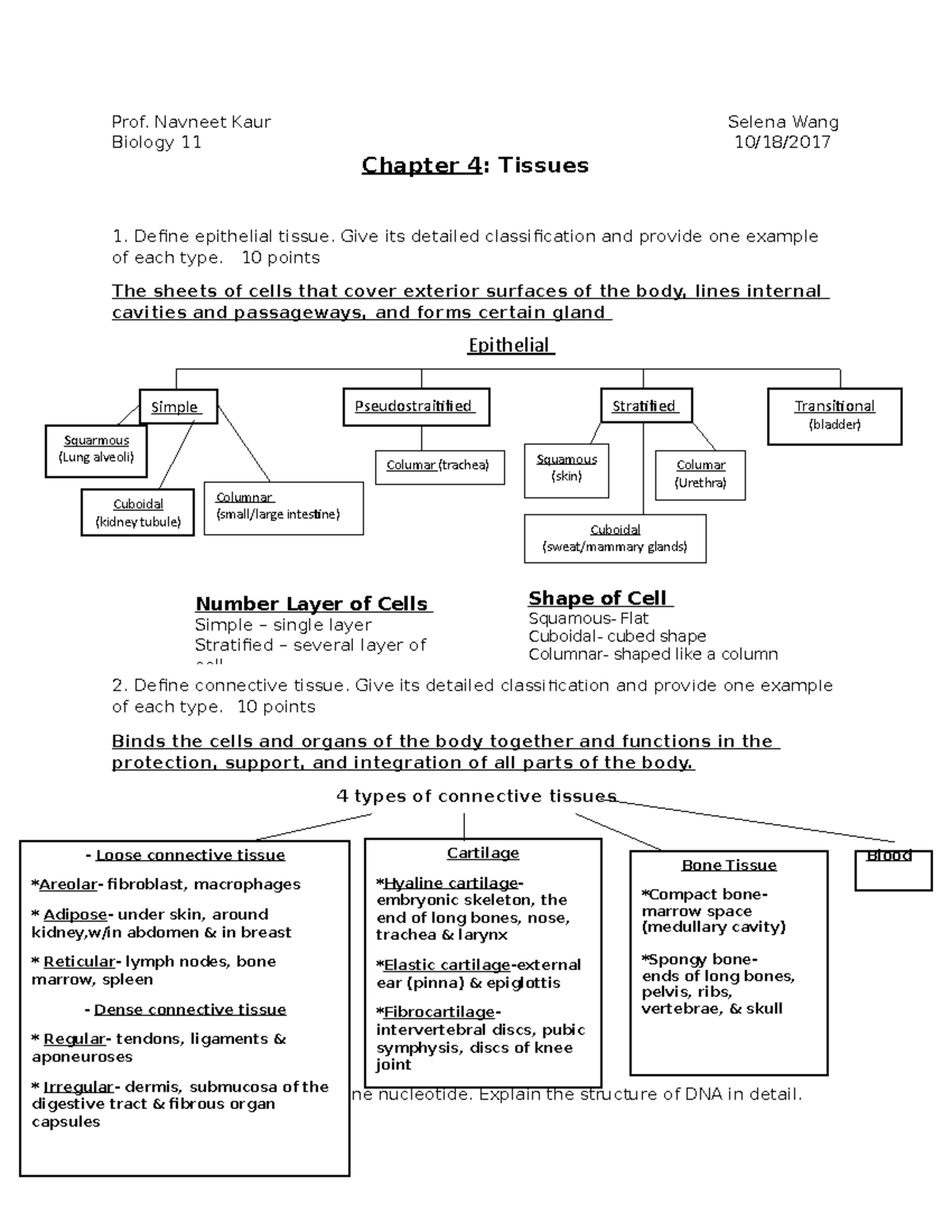 Bio hw tissues - Prof. Navneet Kaur Selena Wang Biology 11 10/18 ...