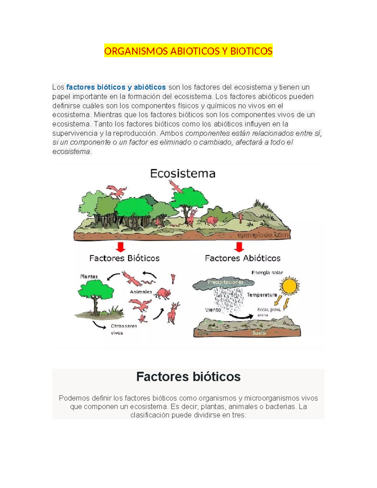 Organismos Abioticos Y Bioticos - ORGANISMOS ABIOTICOS Y BIOTICOS Los ...