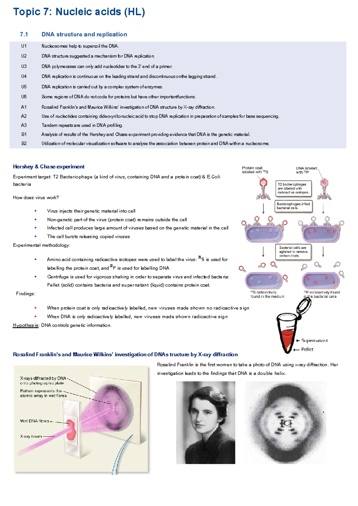 Topic 7 Nucleic acids (HL) International Baccalaureate - Topic 7 ...