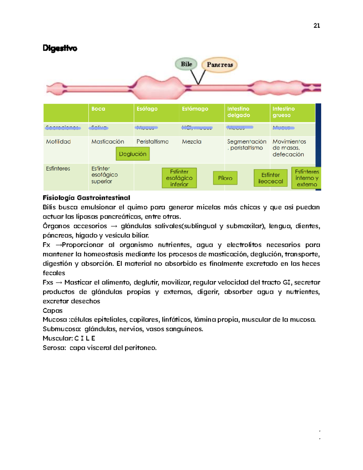 Fisio S3 digestivo - Digestivo Fisiología Gastrointestinal Bilis busca ...