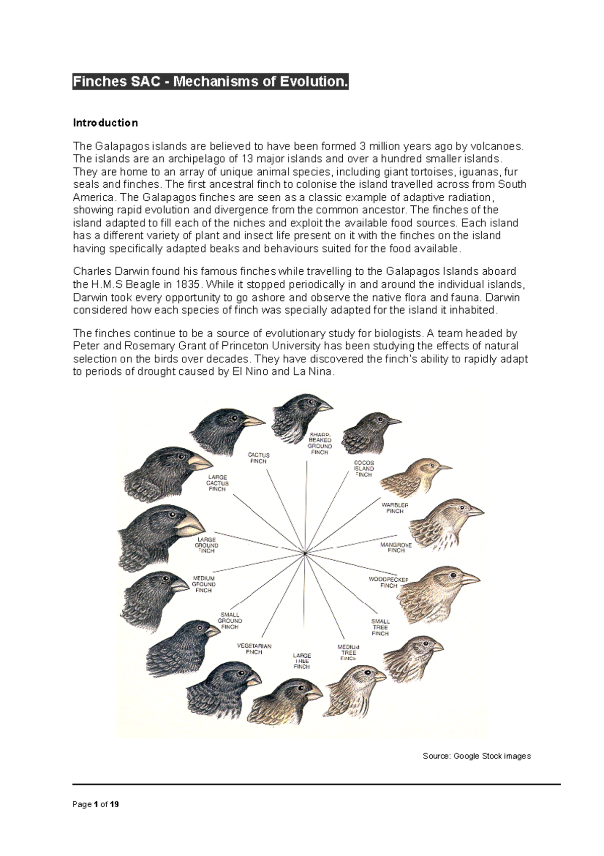 Finches Prac - Practice SAC Biology year 12 - Finches SAC - Mechanisms ...
