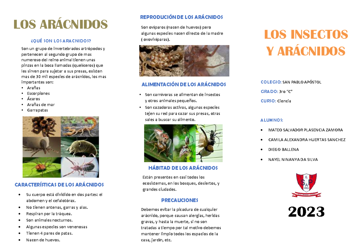 Triptico Salvador Insectos.. - CARACTERÕSTICAS DE LOS AR¡CNIDOS LOS INSECTOS Y AR¡CNIDOS COLEGIO ...