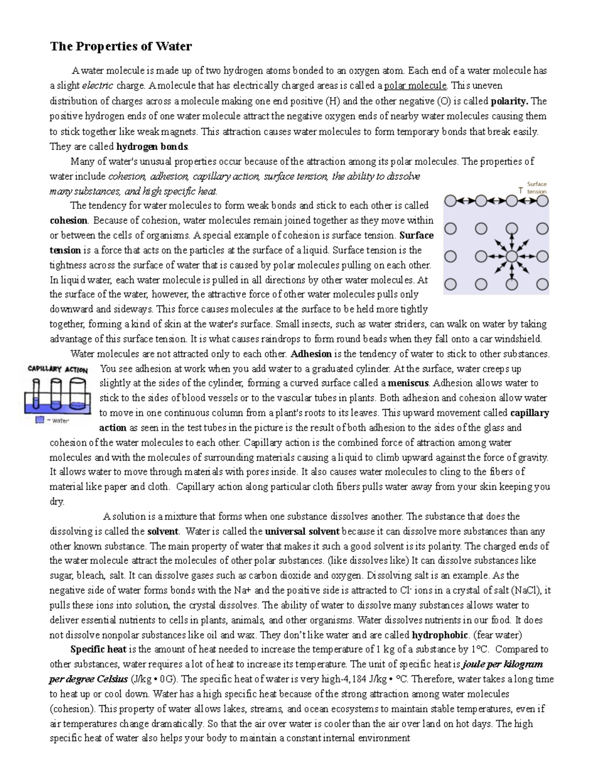 The properties of water worksheet 1 - The Properties of Water A water ...