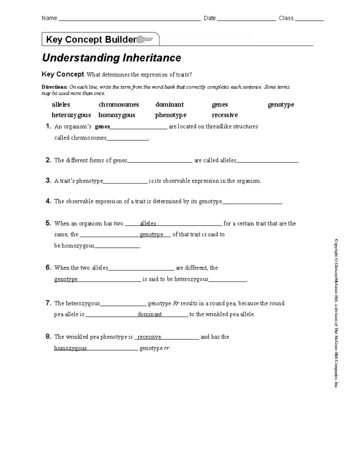 Chapter IDK lesson outline - Name Date Class Understanding Inheritance Key Concept What ...