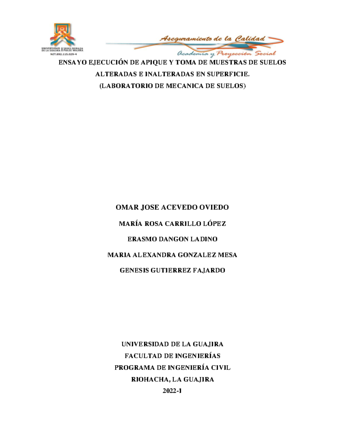 Informe N1 DE Laboratorio DE Mecanica DE Suelos - ENSAYO EJECUCIÓN DE ...