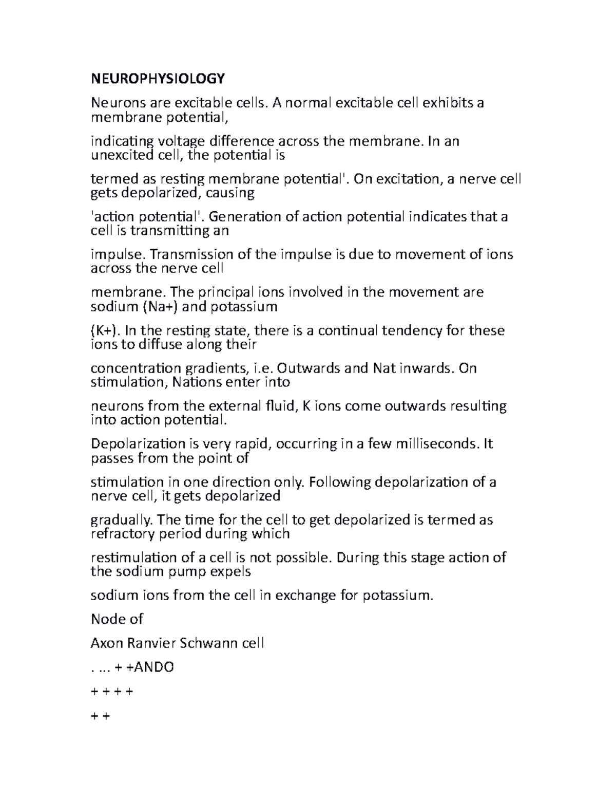 Neurophysiology notes - NEUROPHYSIOLOGY Neurons are excitable cells. A ...