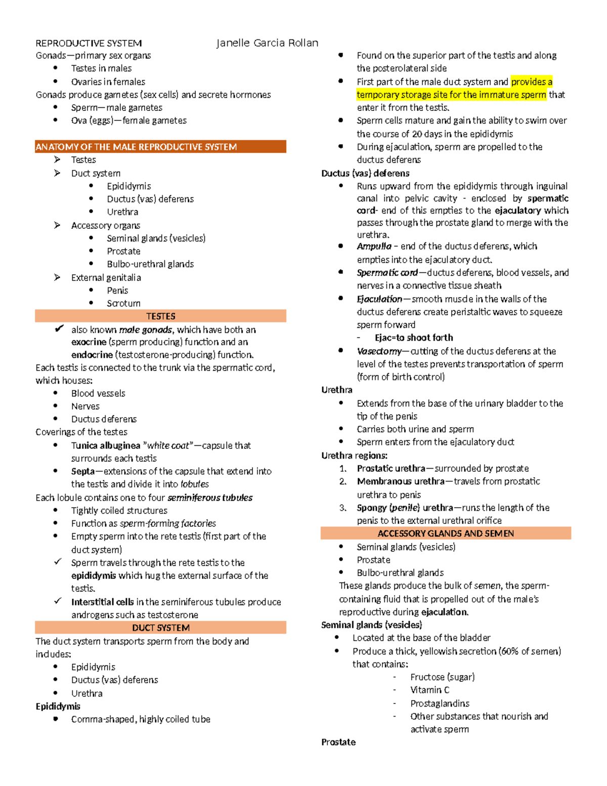 Anaphy ( Reproductive System) - Gonads—primary sex organs Testes in ...