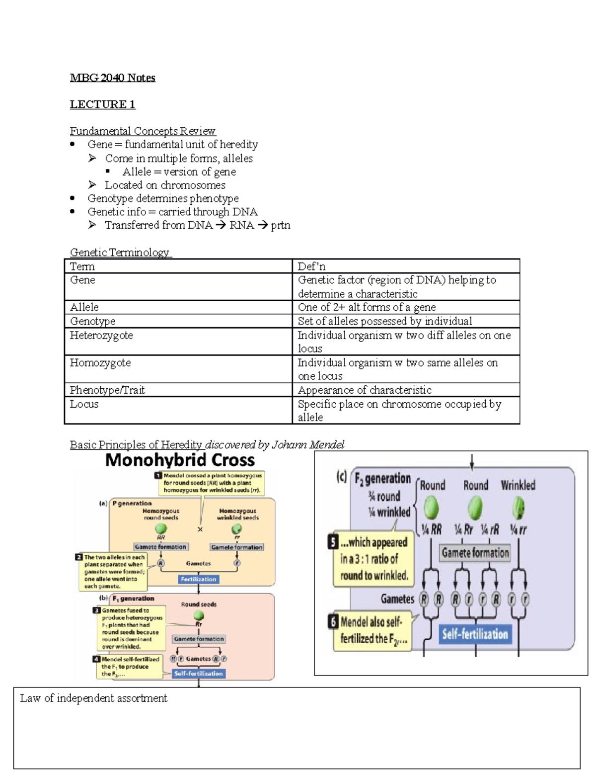 MBG 2040 Notes - MBG 2040 Notes LECTURE 1 Fundamental Concepts Review ...