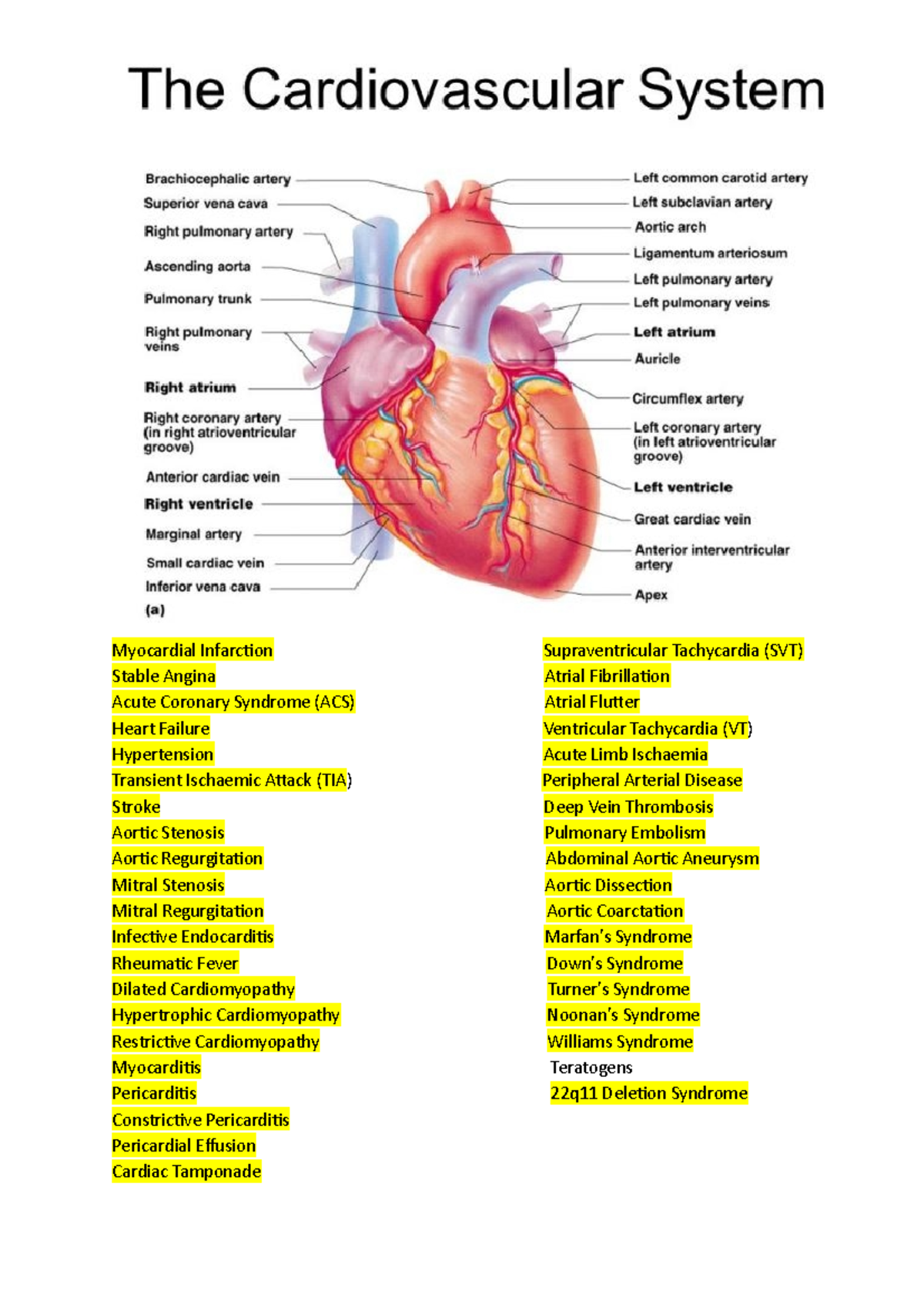 Cardiovascular System - Myocardial Infarction Supraventricular ...