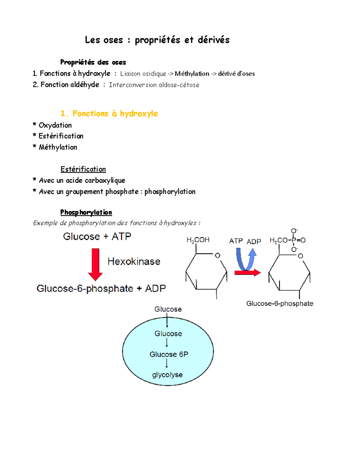 UE1 - Cours 8 - Les oses (Andres) . PDF - Les oses : propriétés et ...