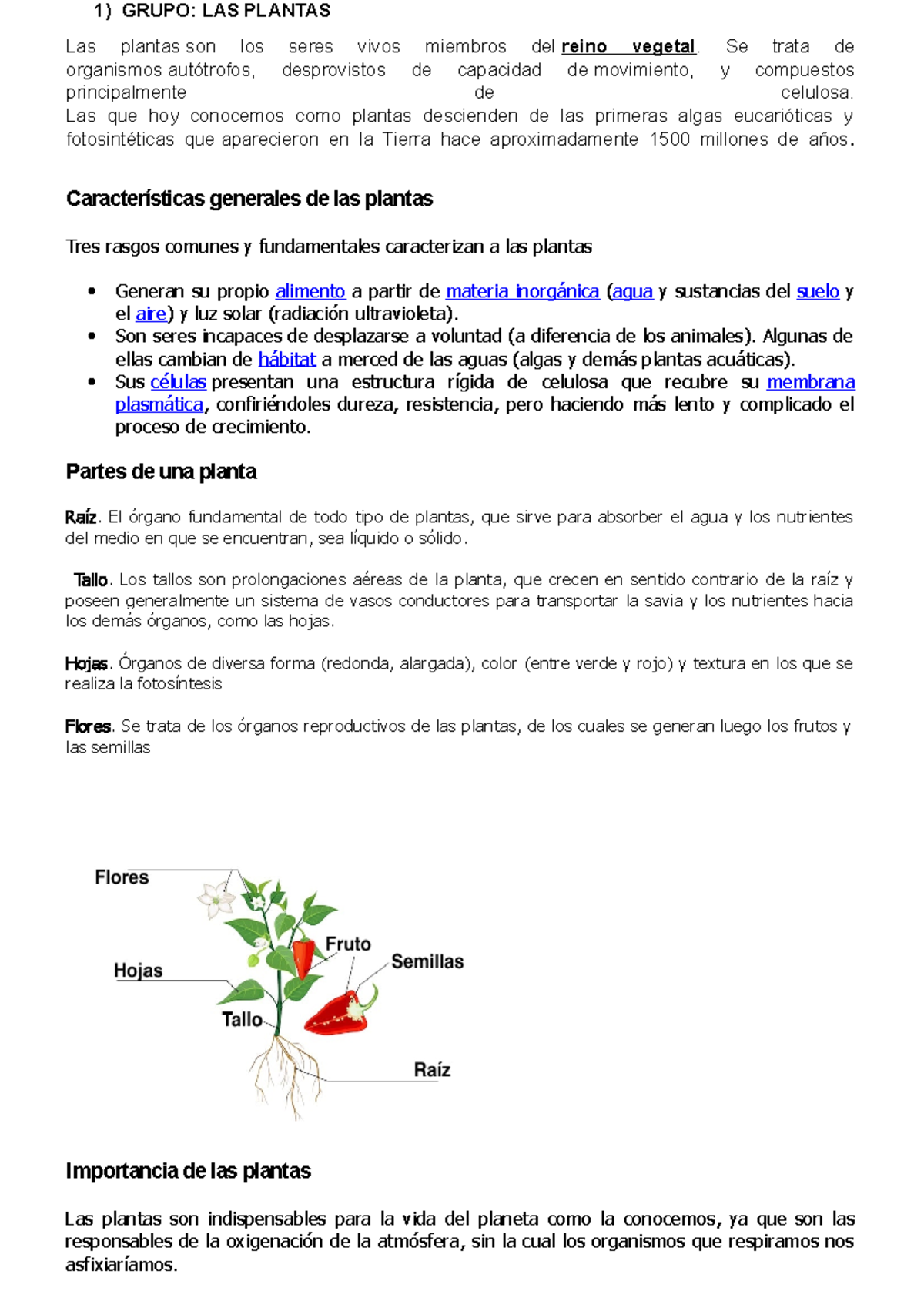 Ciencias Naturales - LAS PLANTAS - 1) GRUPO: LAS PLANTAS Las plantas ...