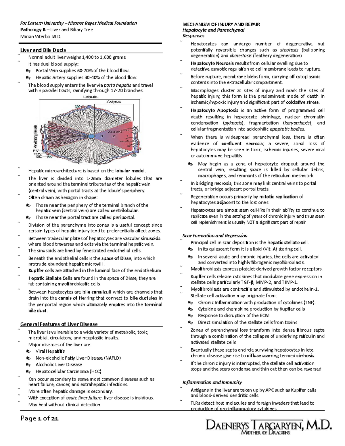 Pathology B Liver and Biliary Tree Viterbo 2015 - Far Eastern ...