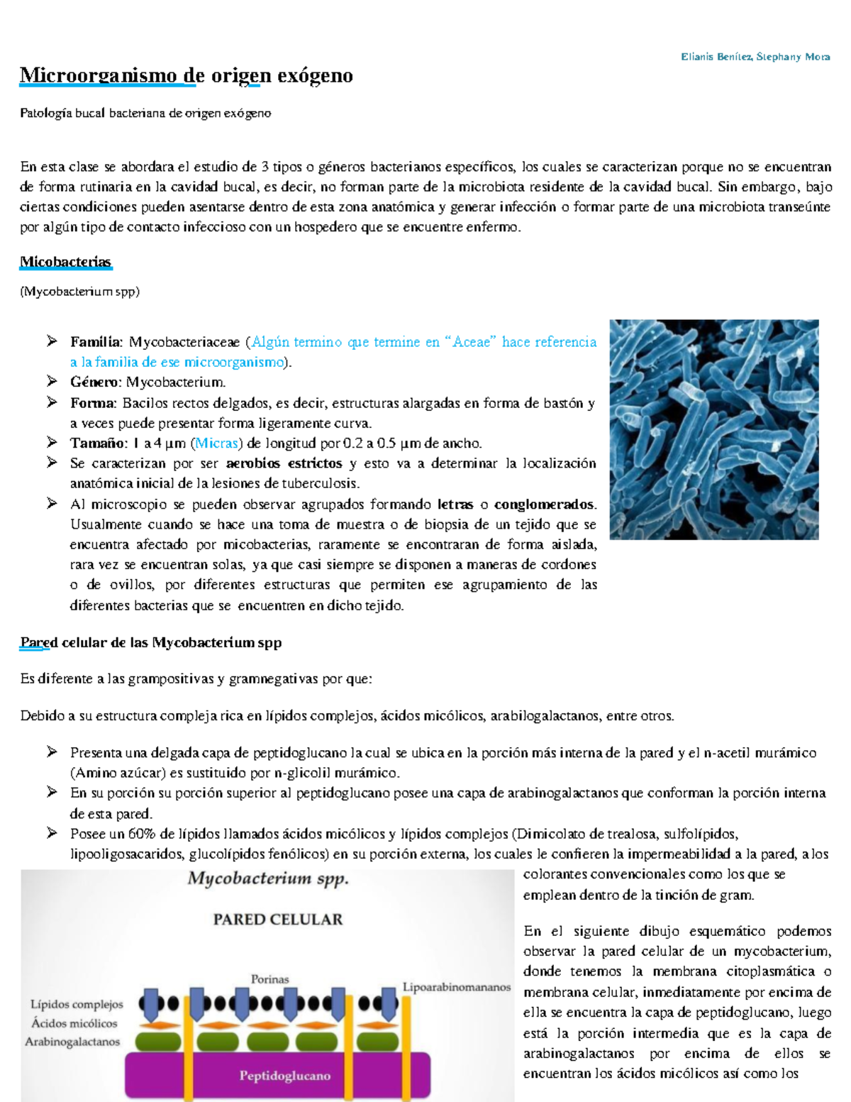 Clase 5 Microorganismos de origen exógeno-convertido - Microorganismo ...