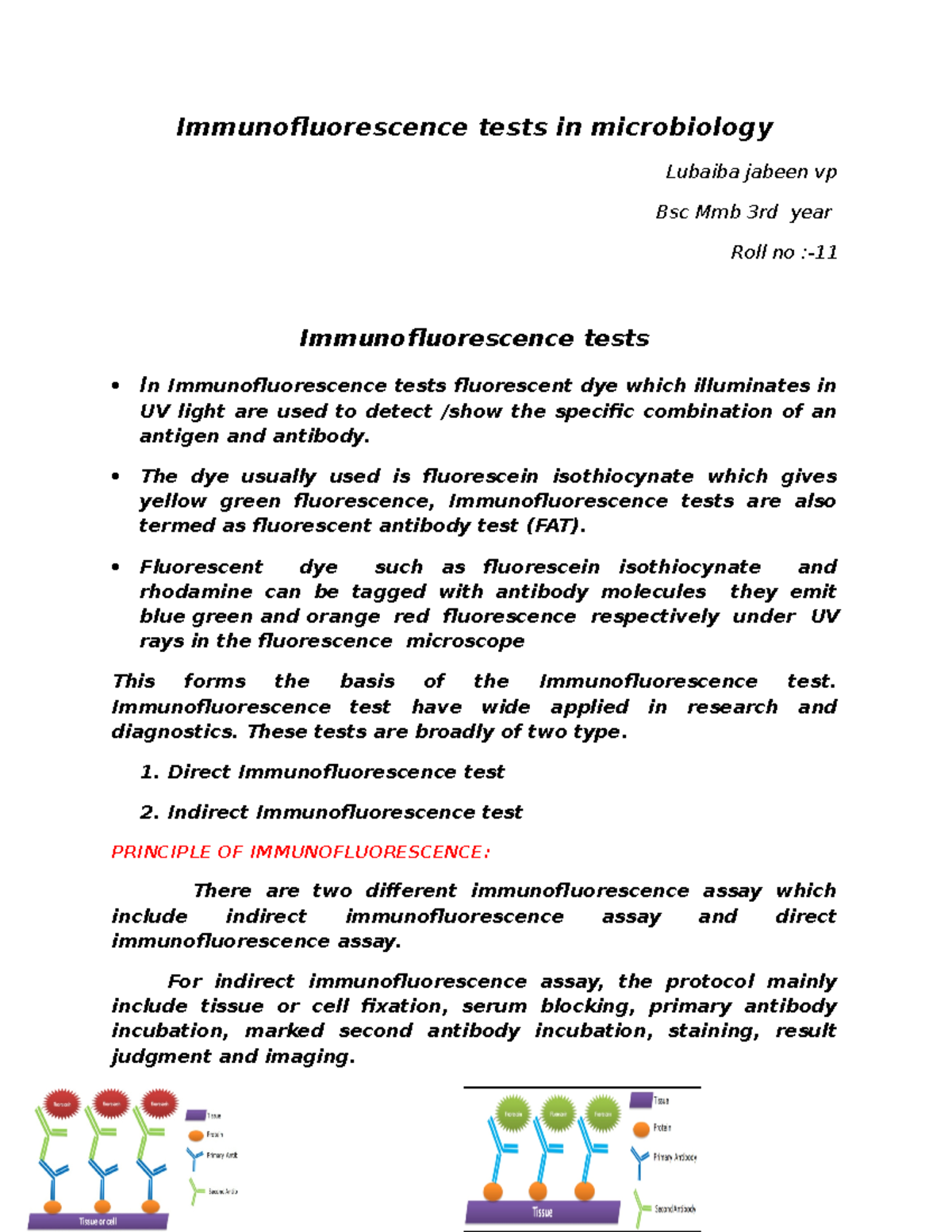 Immunofluorescence tests in microbiology-1 - Immunofluorescence tests ...