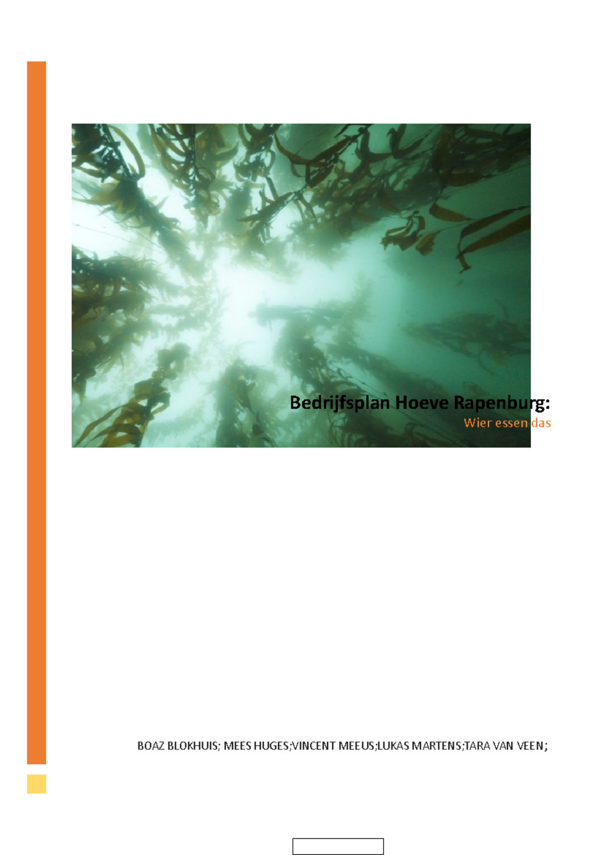 Businessplan - BOAZ BLOKHUIS; MEES HUGES;VINCENT MEEUS;LUKAS MARTENS ...
