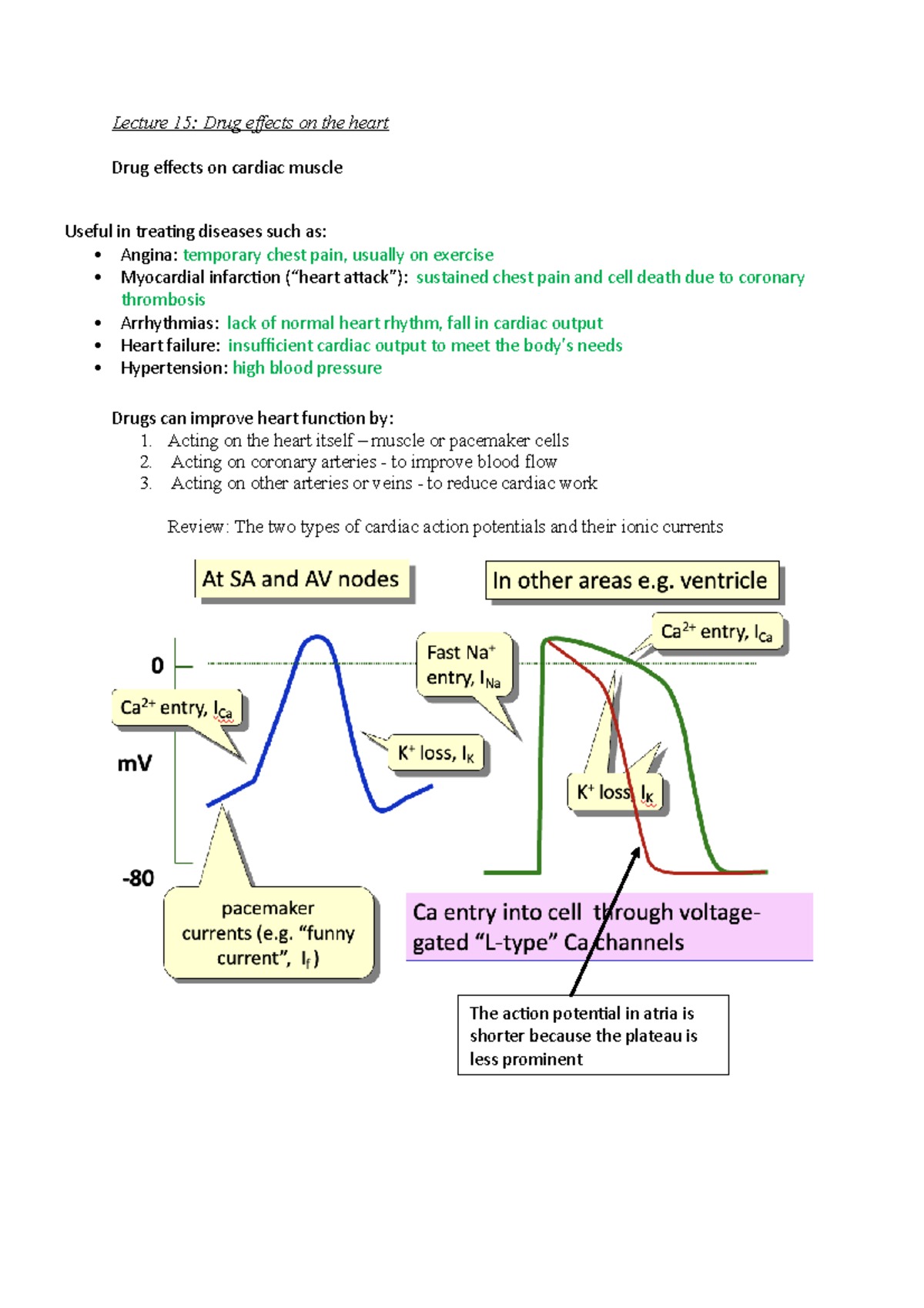 Lecture 15 - Ian McFadzeann - Lecture 15: Drug effects on the heart Drug effects on cardiac ...