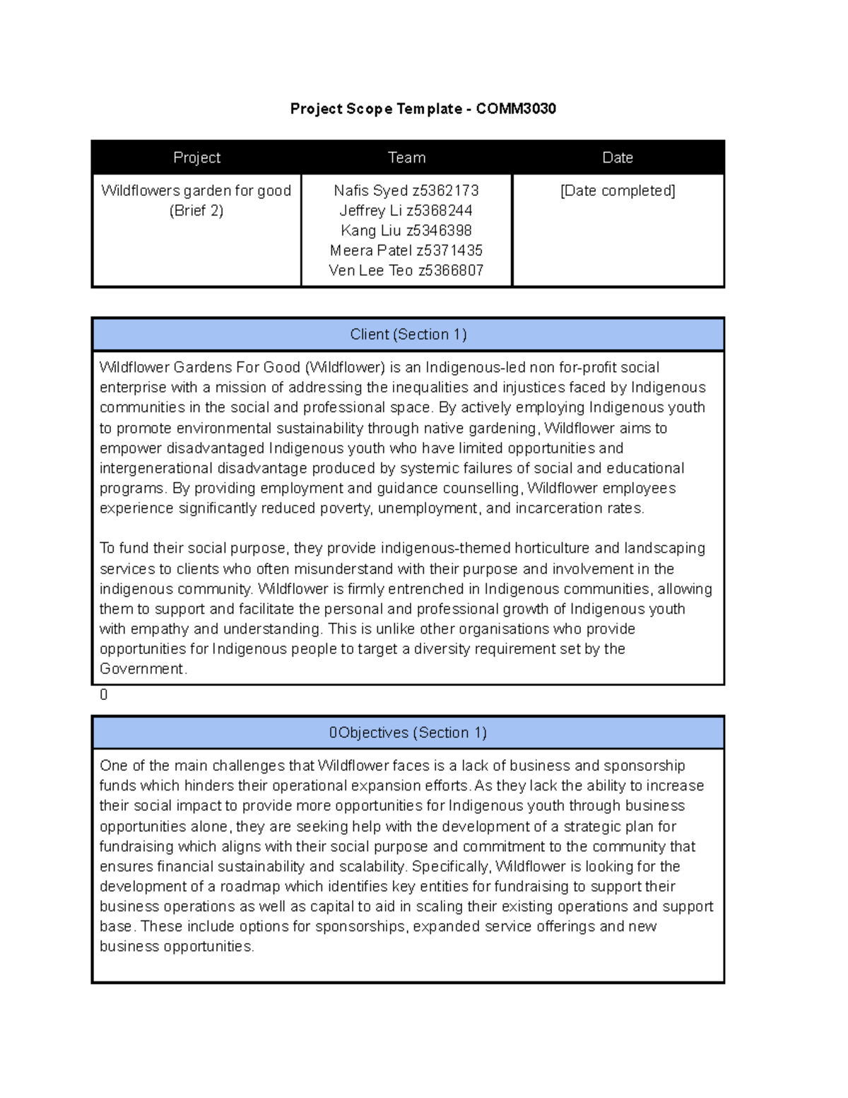 COMM3030 Project Scope Template - Project Scope Template - COMM Project ...