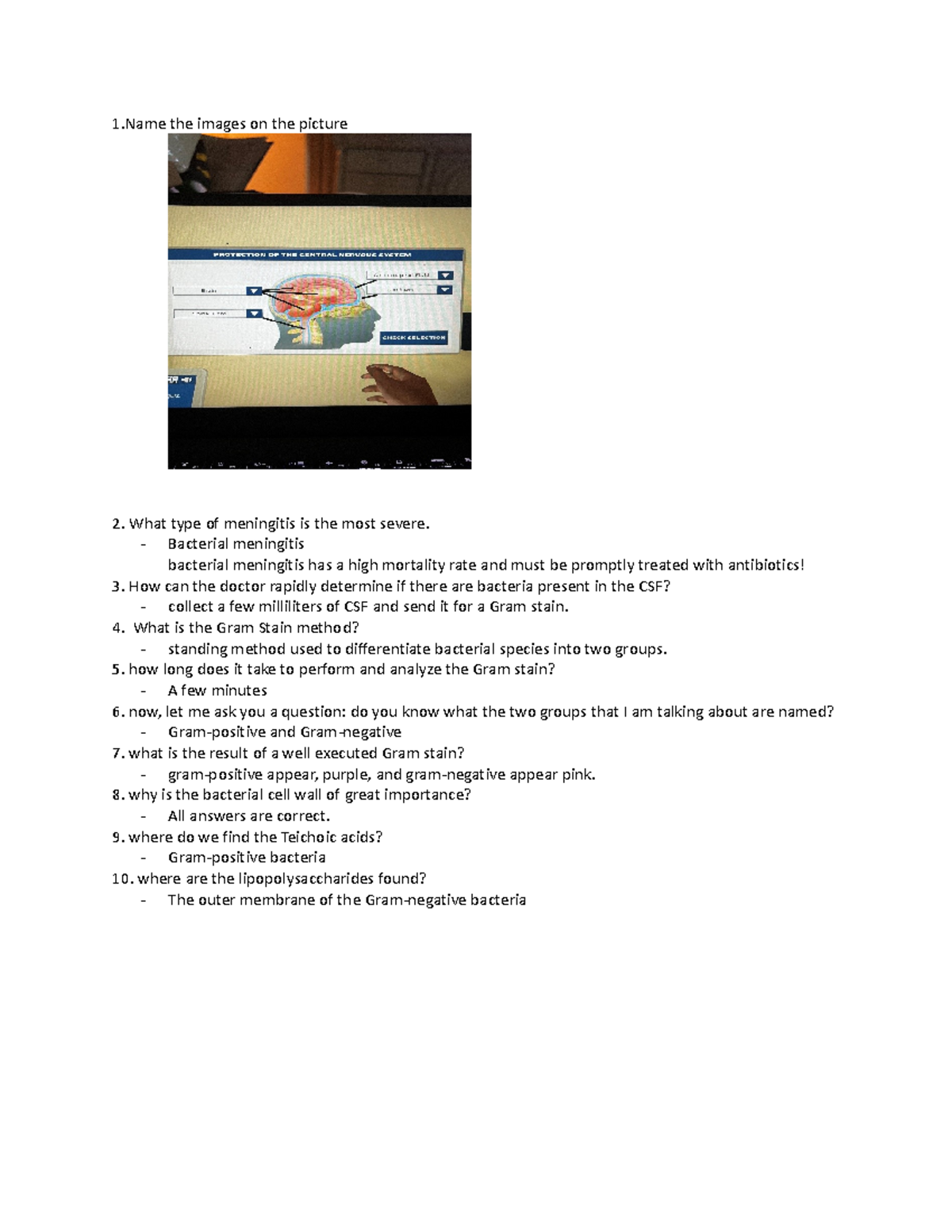 Lab week 3 - Lab for week 3 The Gram Stain - BIOS-242 - Chamberlain ...