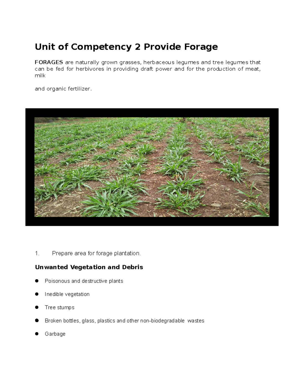 Unit of Competency 2 Provide Forage - Unit of Competency 2 Provide ...