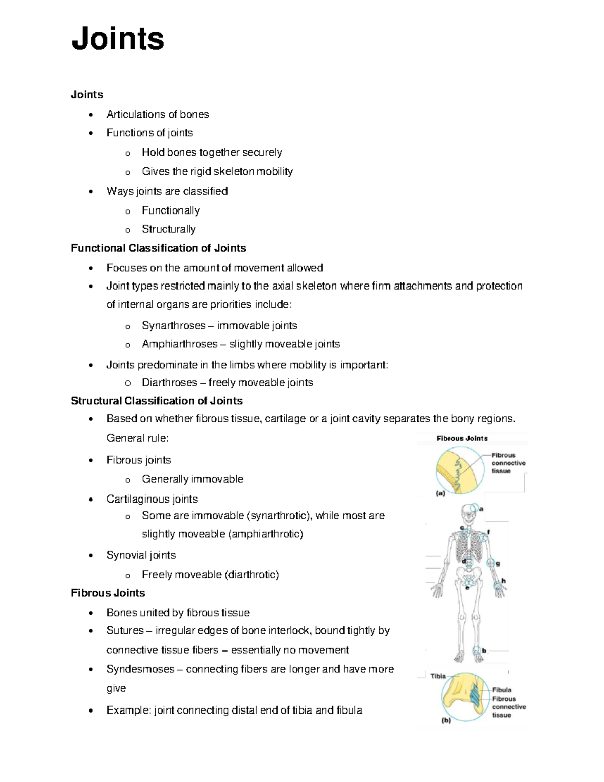 Joints pdf - Exercise - Joints Joints - Articulations of bones ...