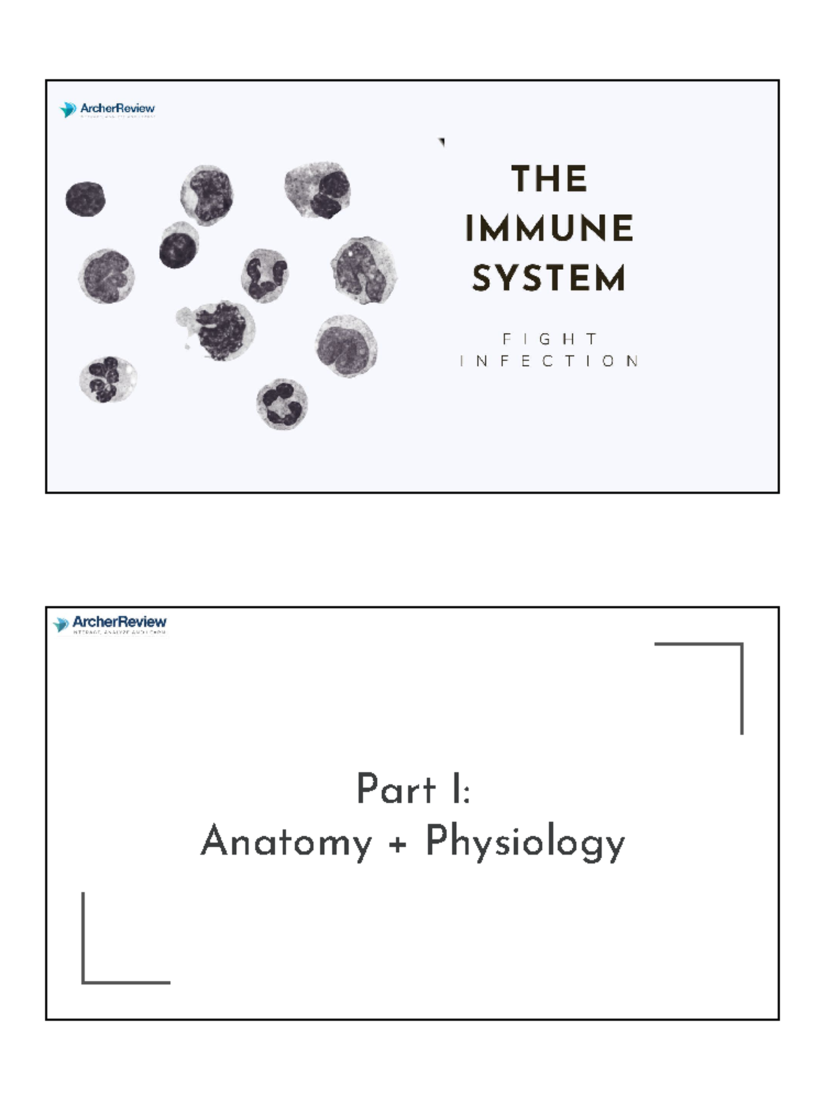 E540ca8b e973 423a bd58 54bf48bde60b - Anatomy + Physiology The Immune ...