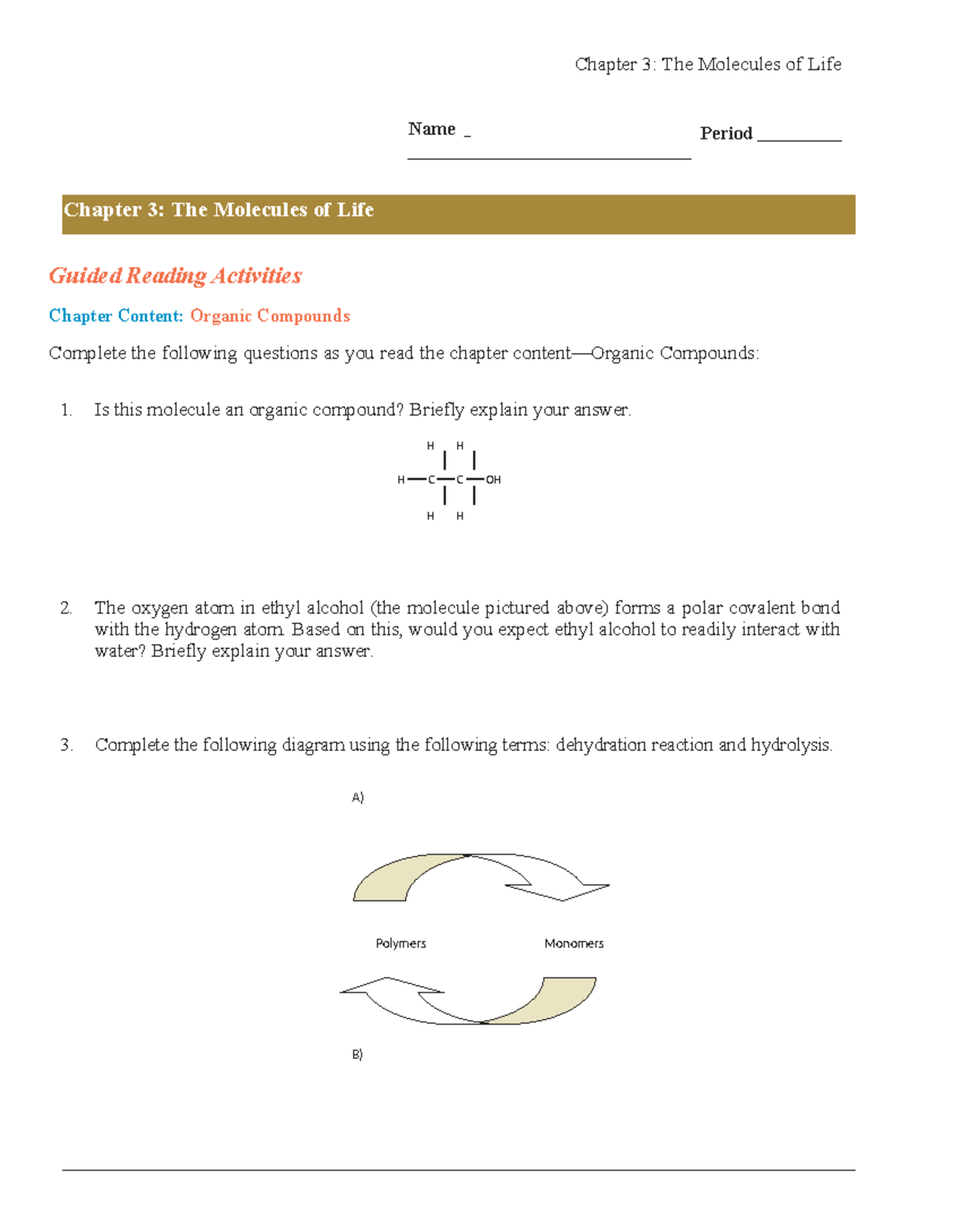 03 guided reading activity - Chapter 3: The Molecules of Life Chapter 3 ...