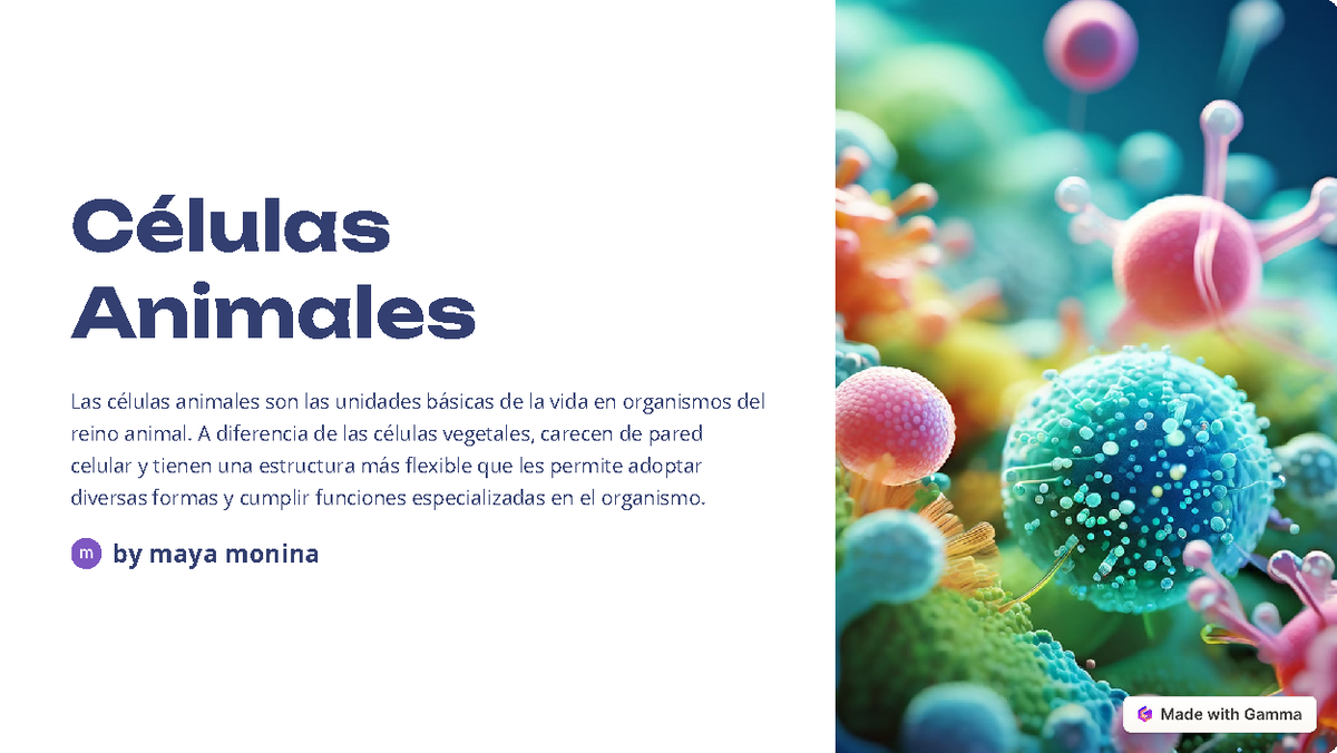 Celulas-Animales - celulas animales - Células Animales Las células ...