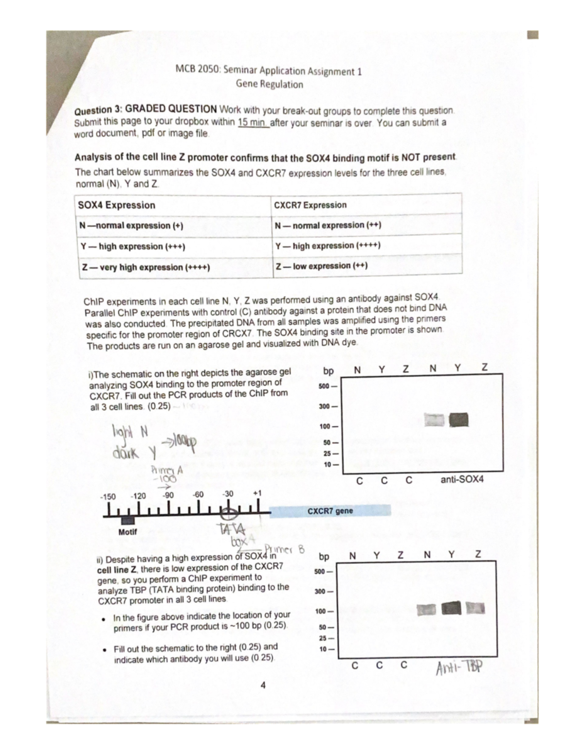 MCB 2050 Seminar Application Assignment 1 - MCB 2050 - U of G - Studocu