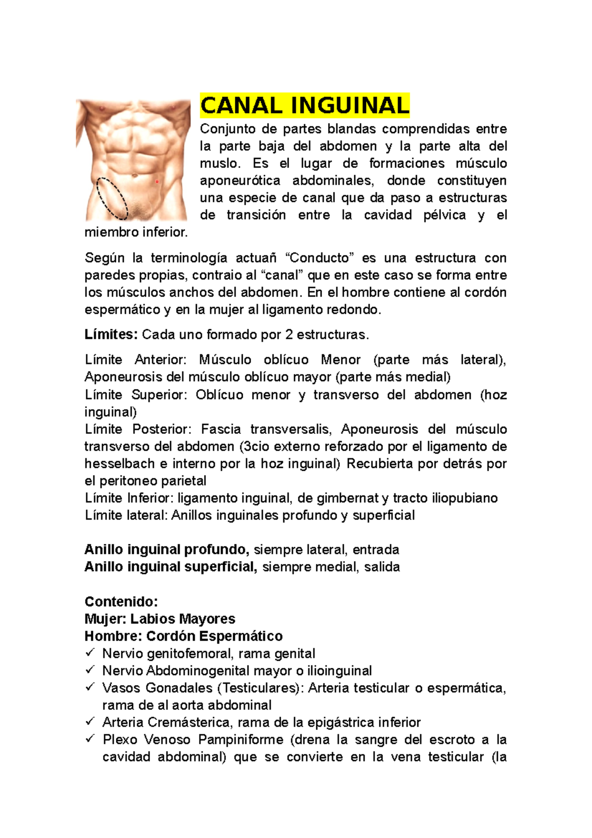 Canal Inguinal - CANAL INGUINAL Conjunto de partes blandas comprendidas ...