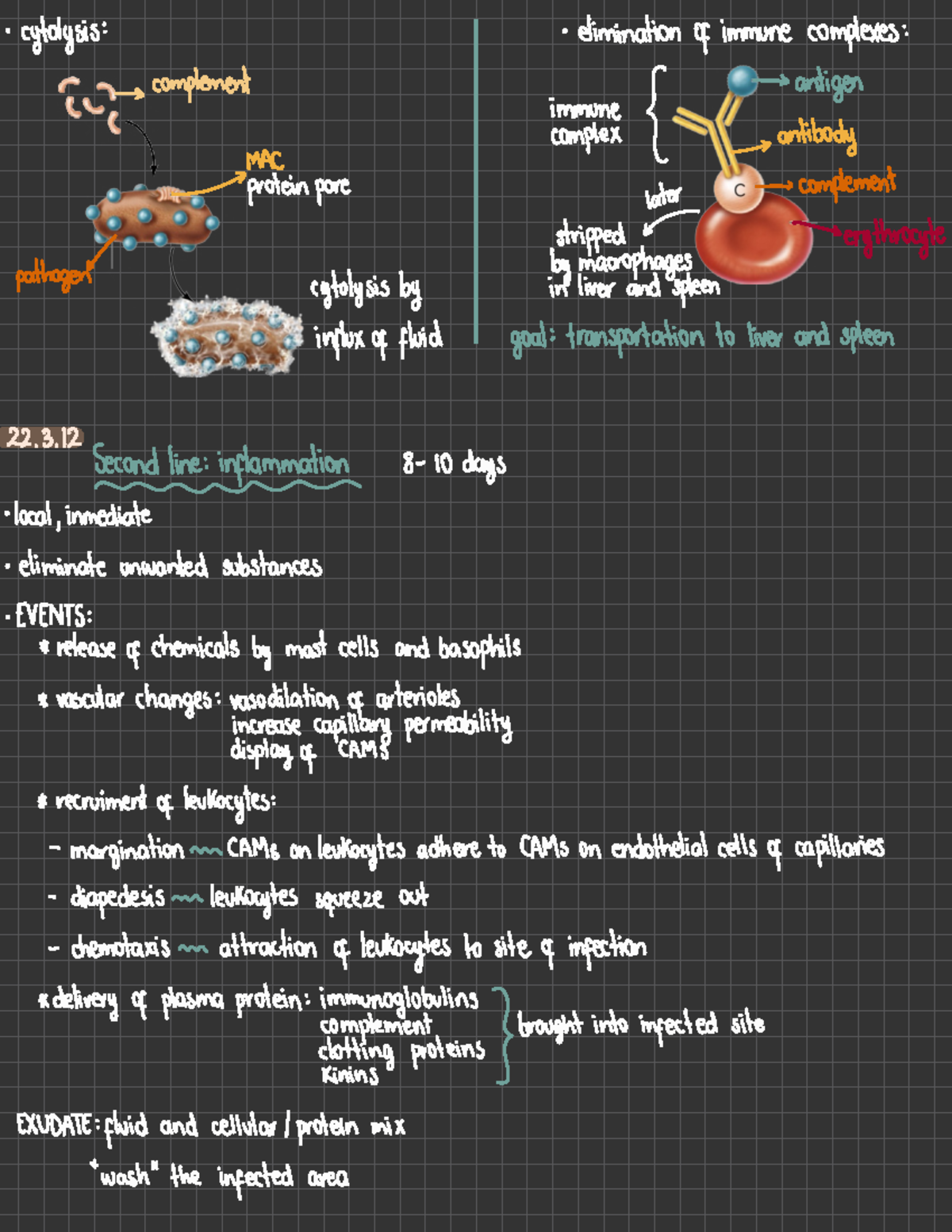 Ch22 - Notes based on learning objectives. - cytolysis : . elimination ...