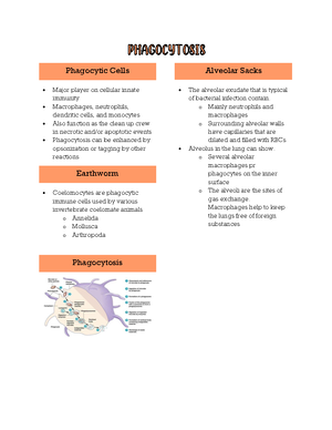 Immunology Lab Lysozyme Lecture Notes - Innate Immunity: Non-specific ...