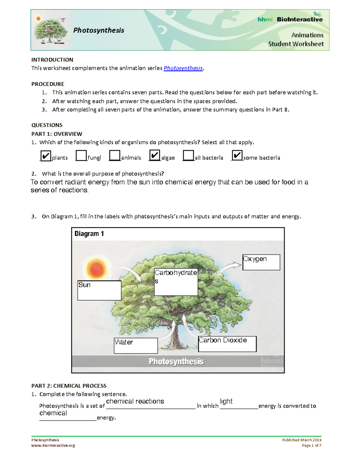 Photosynthesis Top Hat Homework - Photosynthesis Published March 2019 ...