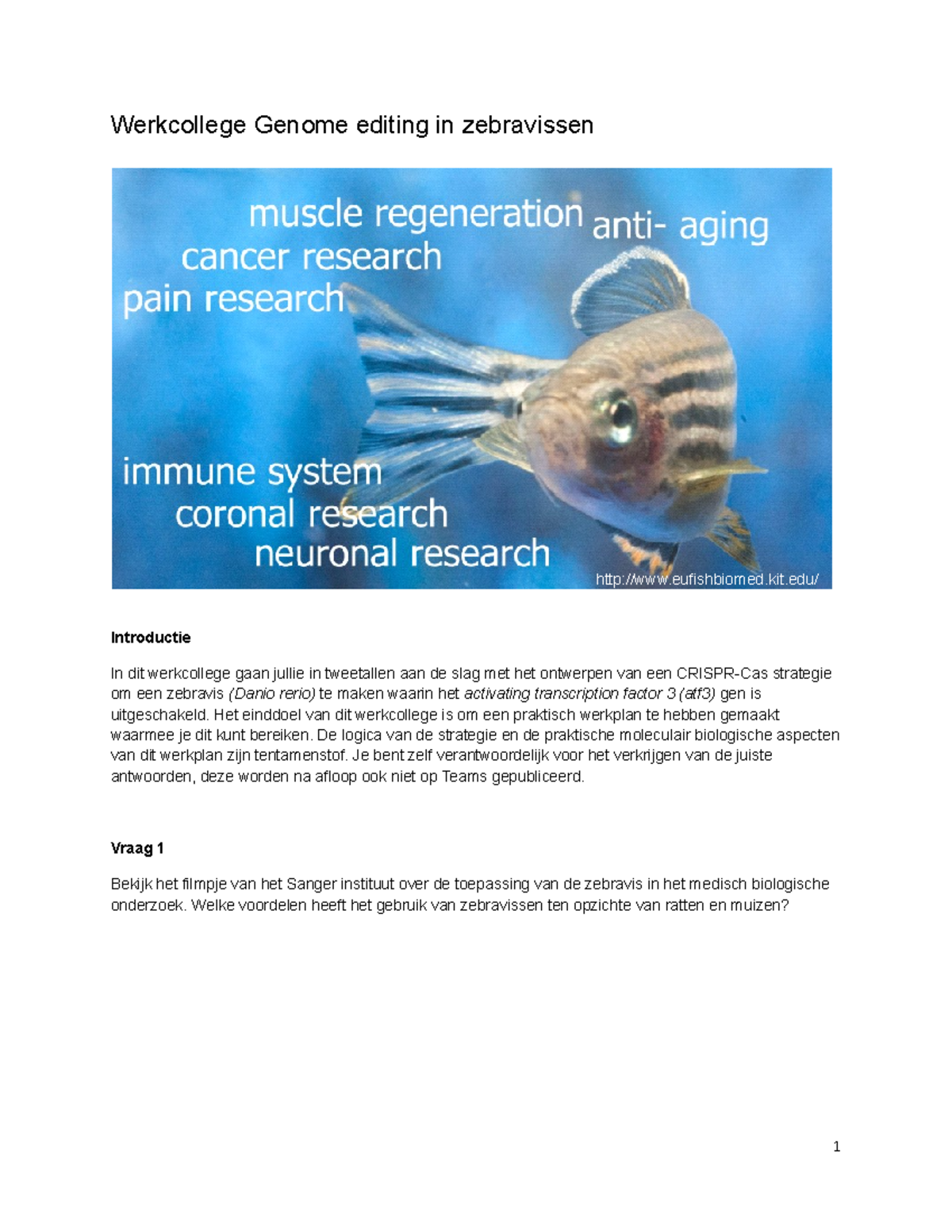 Werkcollege 1 B09GEN genome editing zebravis 22-23 - Werkcollege Genome ...