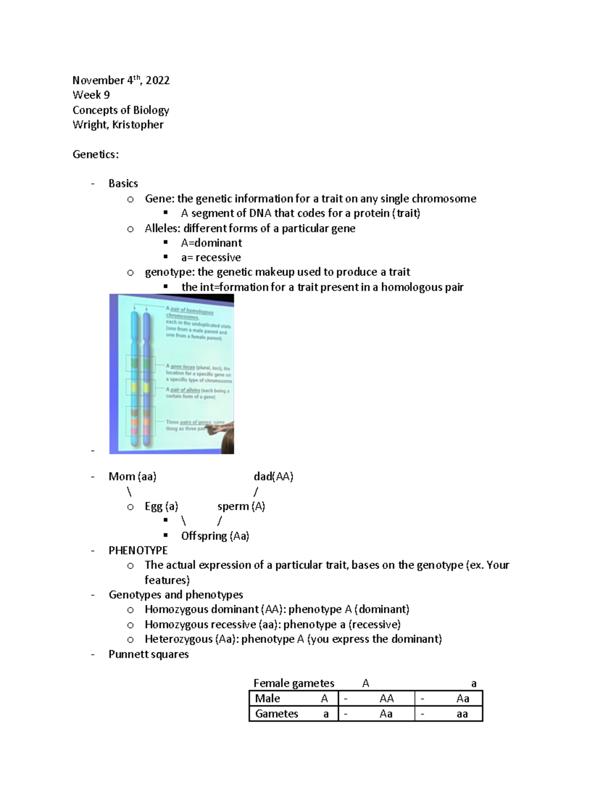 11-4-22 bio notes - Professor Kristopher Wright, week 9. - November 4th ...