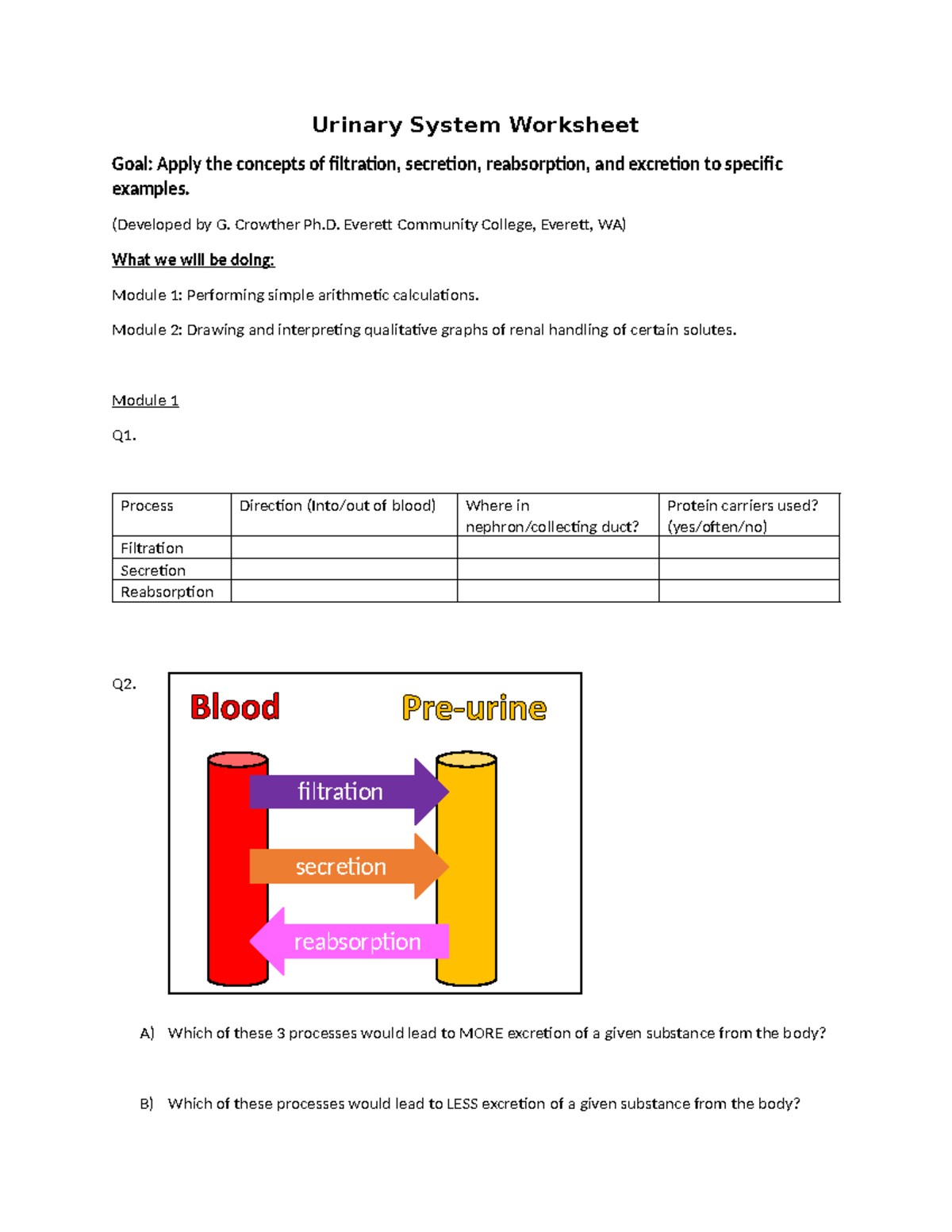 Urinary System Diagram Worksheet Anatomy Teaching