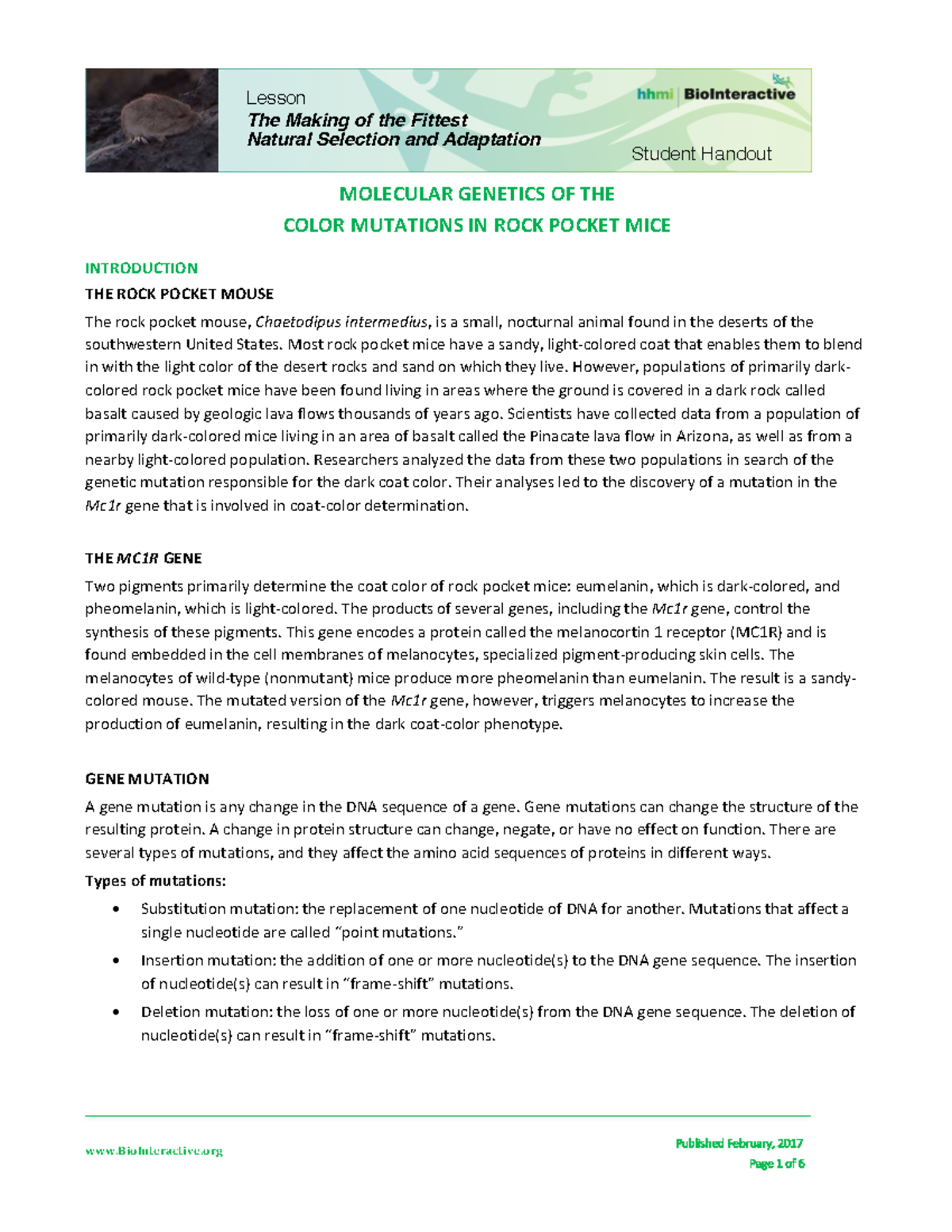 Mouse Molecular Genetics Student Activity 1 - BioInteractive LESSON ...