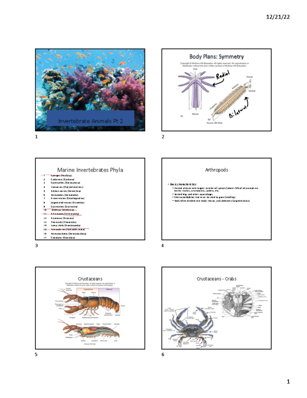Inverts II - They are designed for non-science majors. A survey of ...