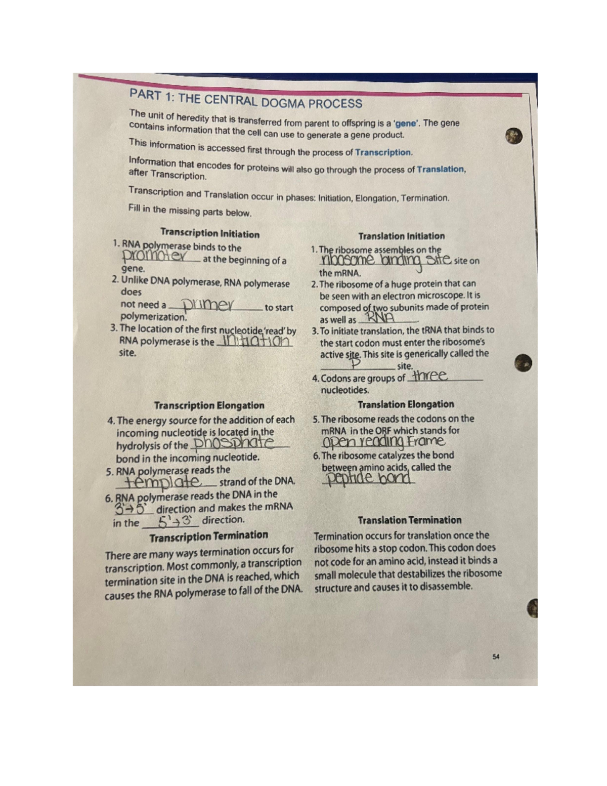 Central Dogma - PART 1: THE CENTRAL DOGMA PROCESS The unit of heredity ...