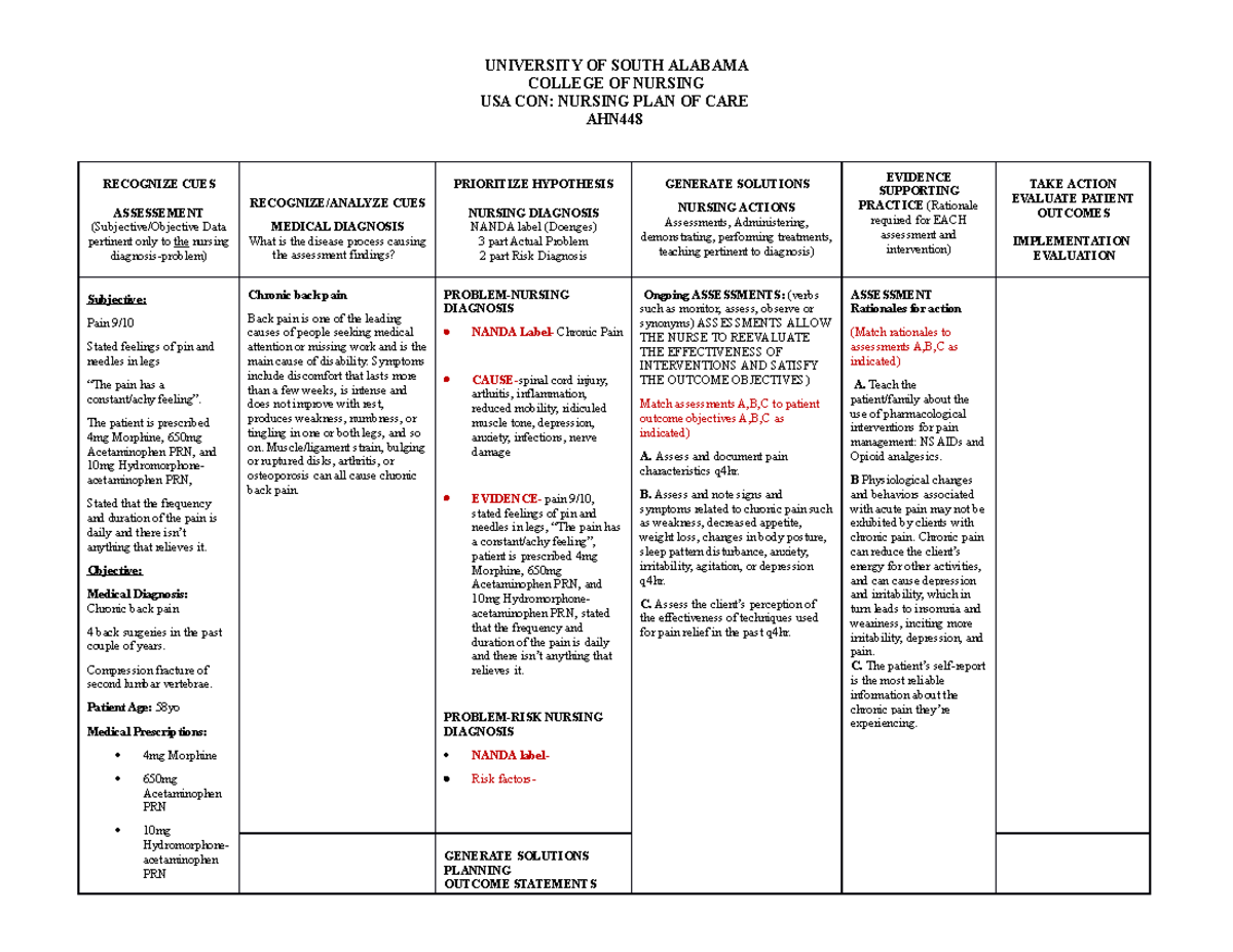 Chronic Pain - careplan - RECOGNIZE CUES ASSESSEMENT (Subjective ...