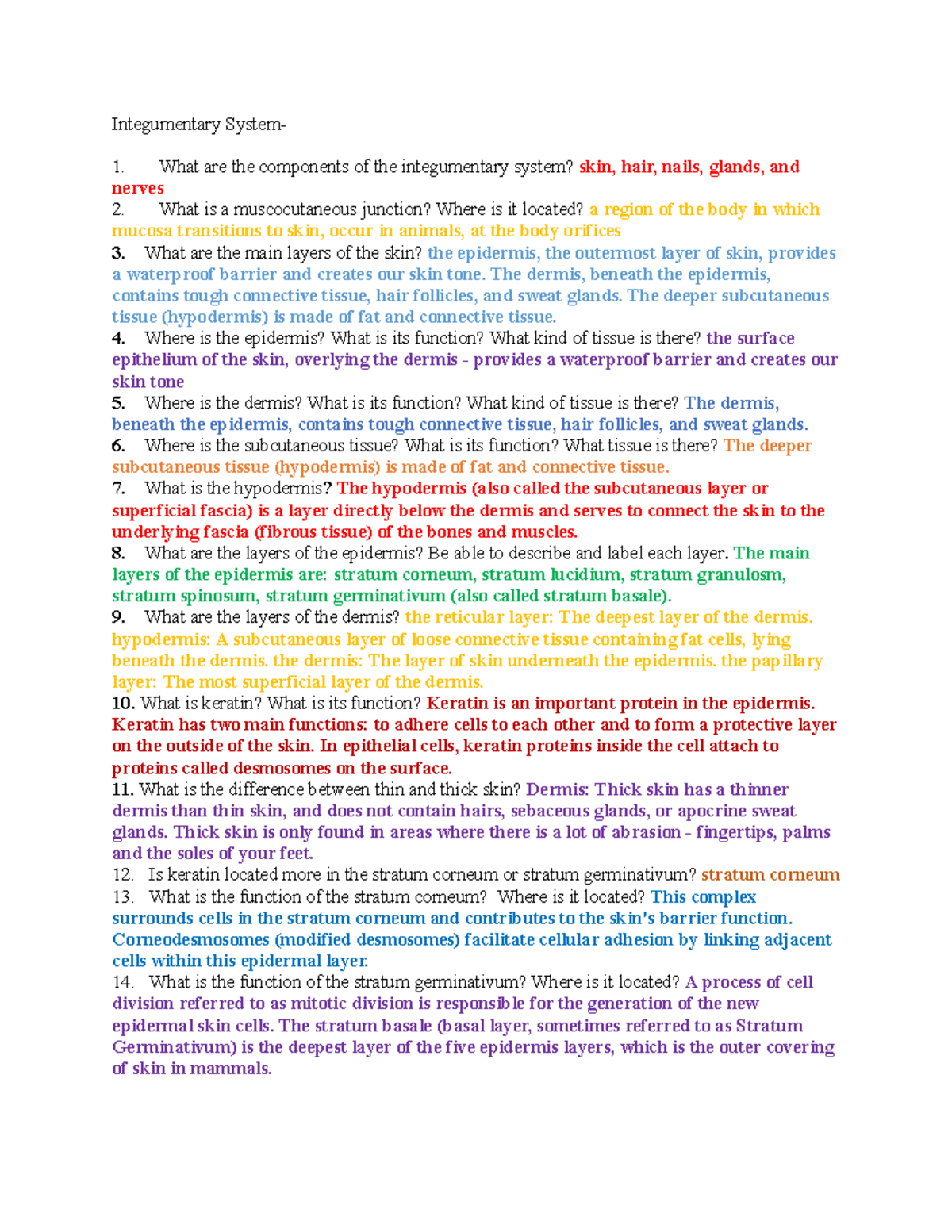 Integumentary System HW - Integumentary System- What are the components ...