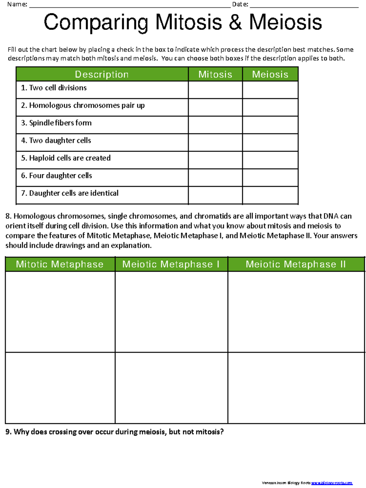 Pages from Mitosis vs Meiosis Study Guide - Vanessa Jason Biology Roots ...