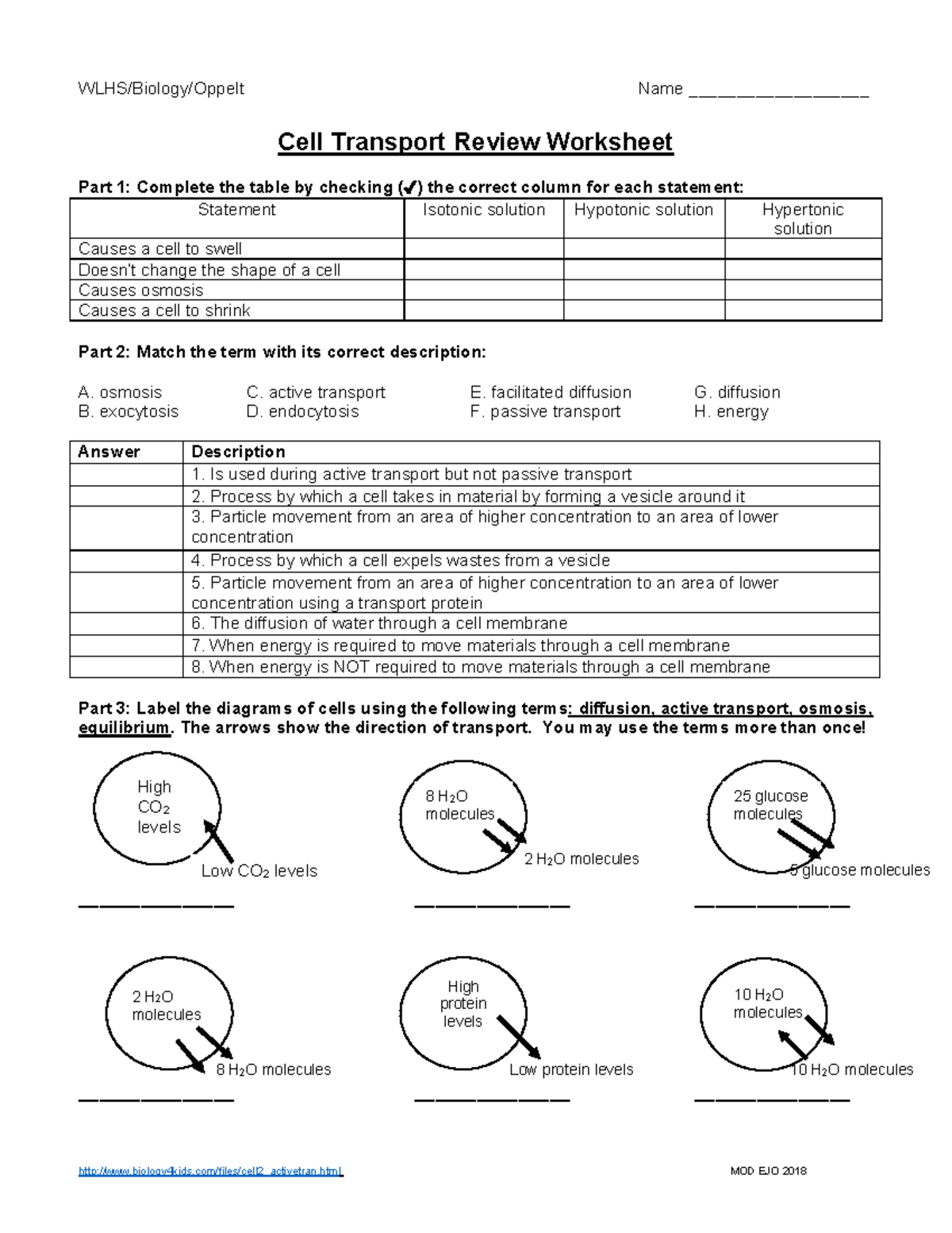 Handout - Cell Transport Review Worksheet - WLHS/Biology/Oppelt Name ...