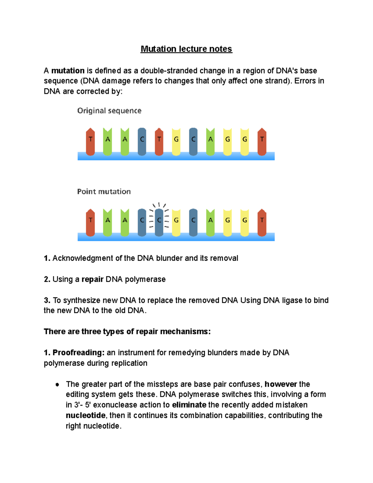 Mutation Lecture Notes Errors In Dna Are Corrected By Acknowledgment Of The Dna Blunder And 5696