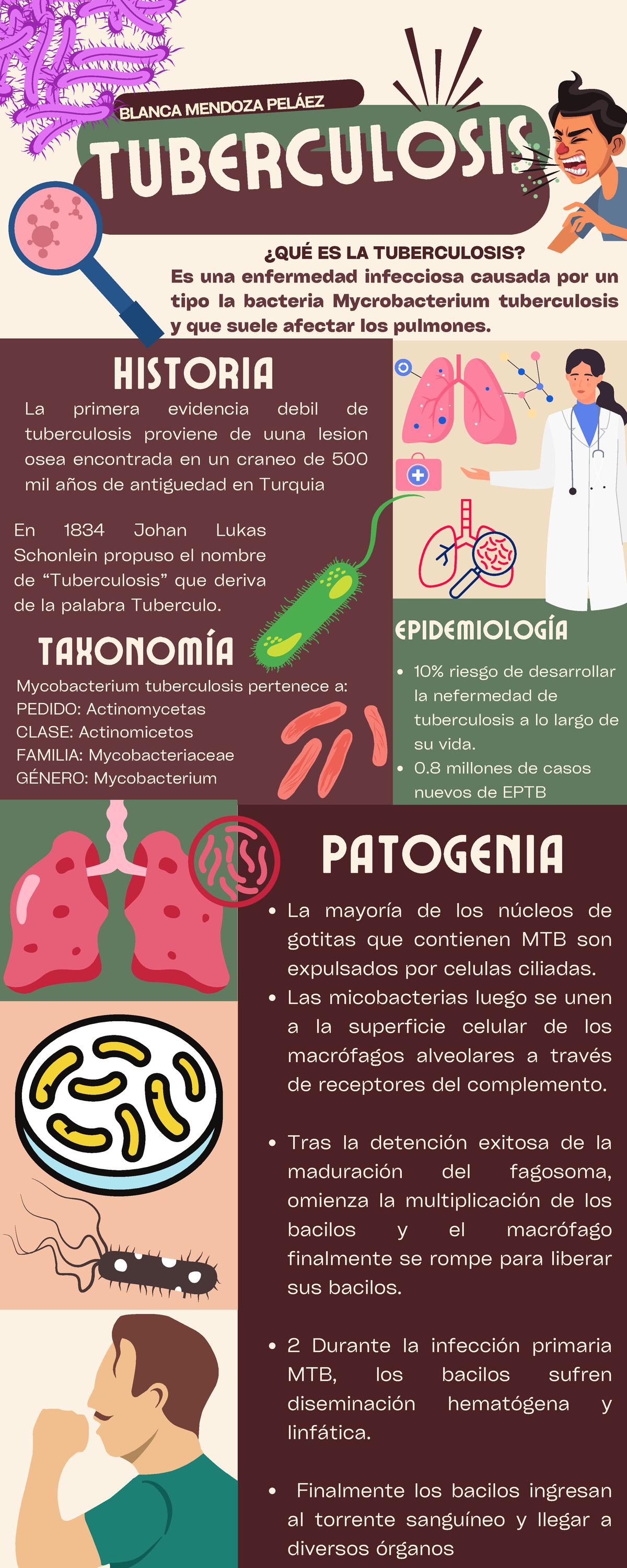 Infografía de Tuberculosis - TUBERCULOSIS TUBERCULOSIS ...