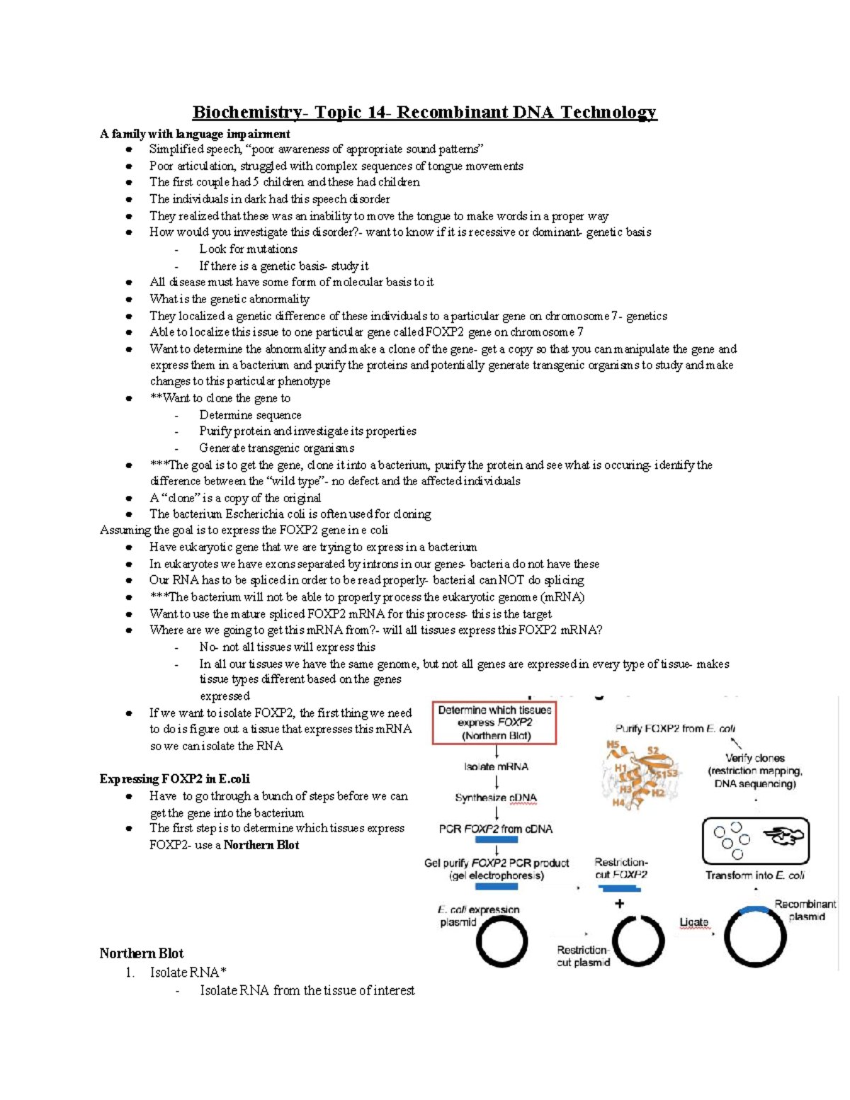 Lecture notes 14- Recombinant DNA - Biochemistry- Topic 14- Recombinant ...