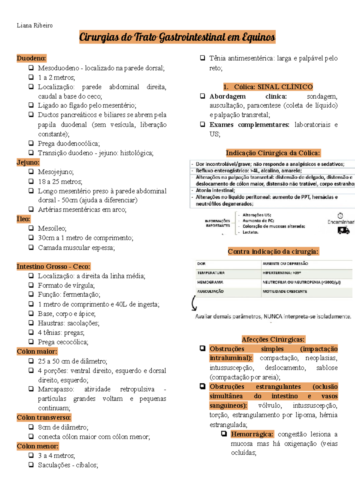 Cirurgias do TGI Equinos - resumo - Cirurgias do Trato Gastrointestinal ...