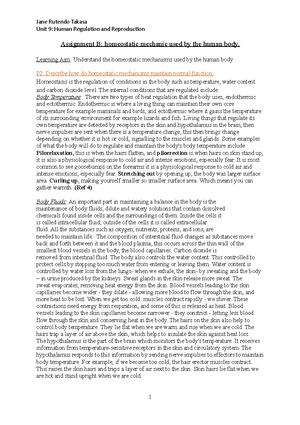 Unit 2 Authorised Assignment Brief for Learning Aim A Practical ...