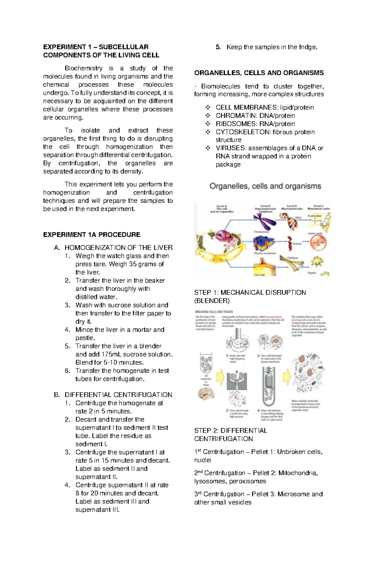 Biochem LAB Prelim Reviewer - EXPERIMENT 1 – SUBCELLULAR COMPONENTS OF ...